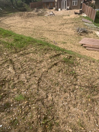 Massive plot in WD259NB - AllotMe